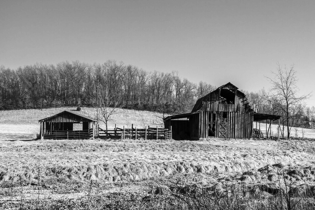 Rustic Barn Photography Print: Arkansas Black and White Farm Country ...