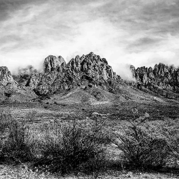 Organ Mountains Art - Etsy