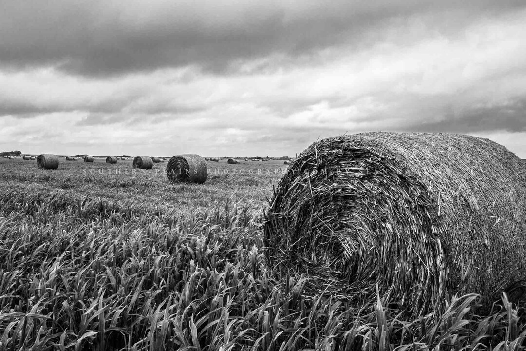 Hay Bale Photography Print Nostalgic Picture in Black and White of ...