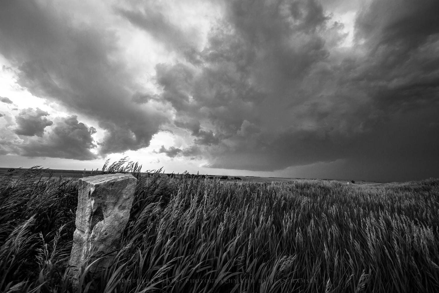 Grass Field Black And White