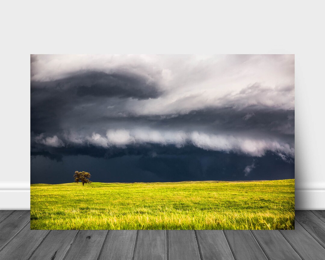 Storm Wall Art Metal Print of Thunderstorm Passing Behind Lone Tree on ...