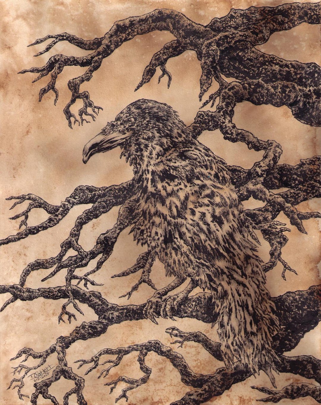 Vigilant Watchman – Raven Ink Art Print | Tea-stained Illustration ...