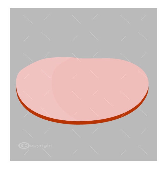 Piece Of Bologna Clip Art