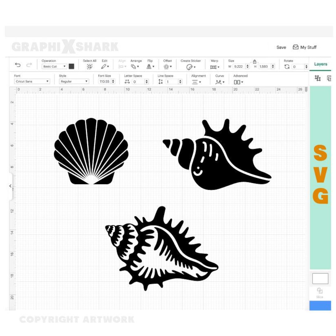 Seashell SVG Bundle | Conch SVG | Scallop Shell Clipart | 3 Piece Beach ...