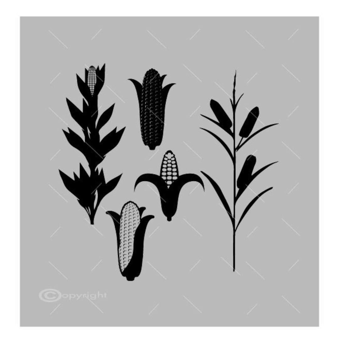 Five Assorted Corn Stalks Cobs Vector Images SVG Files Digital Cutting ...