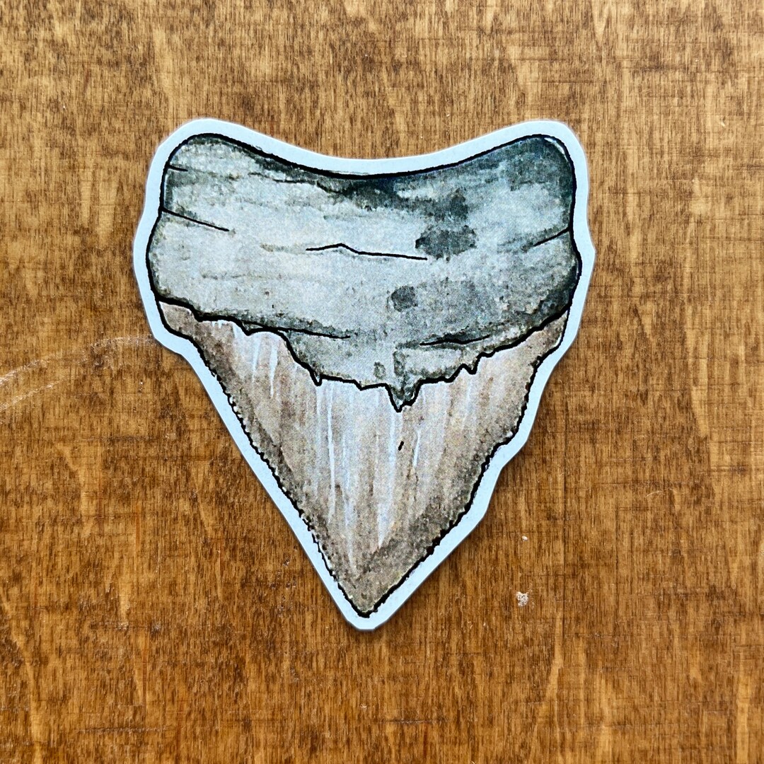 Great White Shark Tooth Sticker Vinyl Die Cut Laptop Water Bottle ...