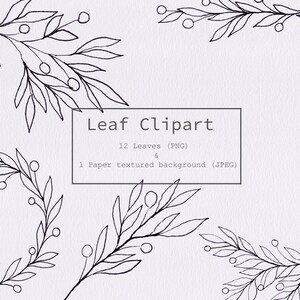 Fine Line Leaves Botanical Line Art on Textured Paper Hand Drawn Floral ...