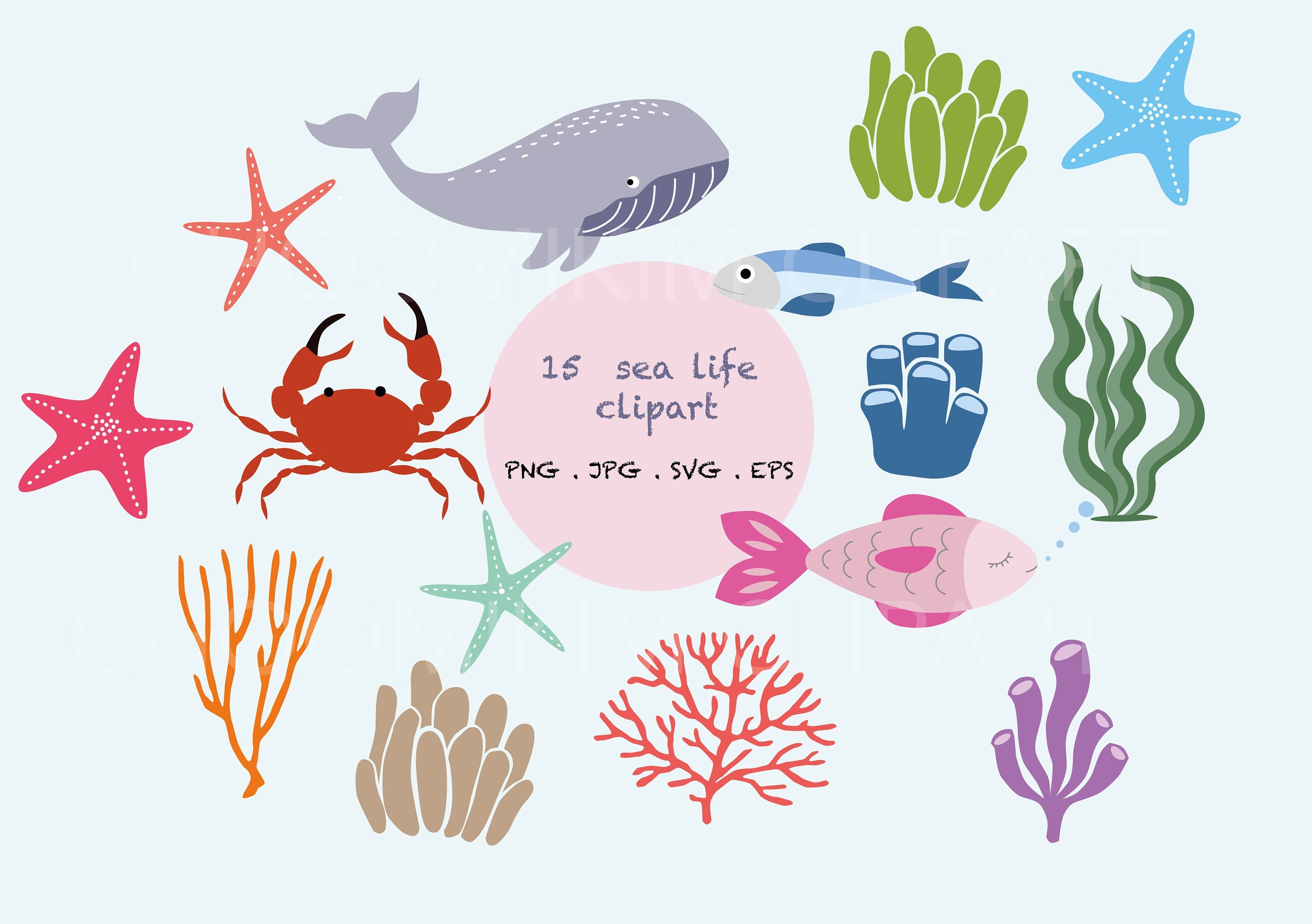 15 Png Svg Eps Jpg Sea Life Clip Art Under Water Creature - Etsy