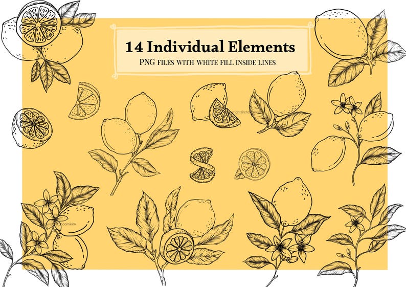 14 Lemon Clipart / PNG / for Commercial Use - Etsy