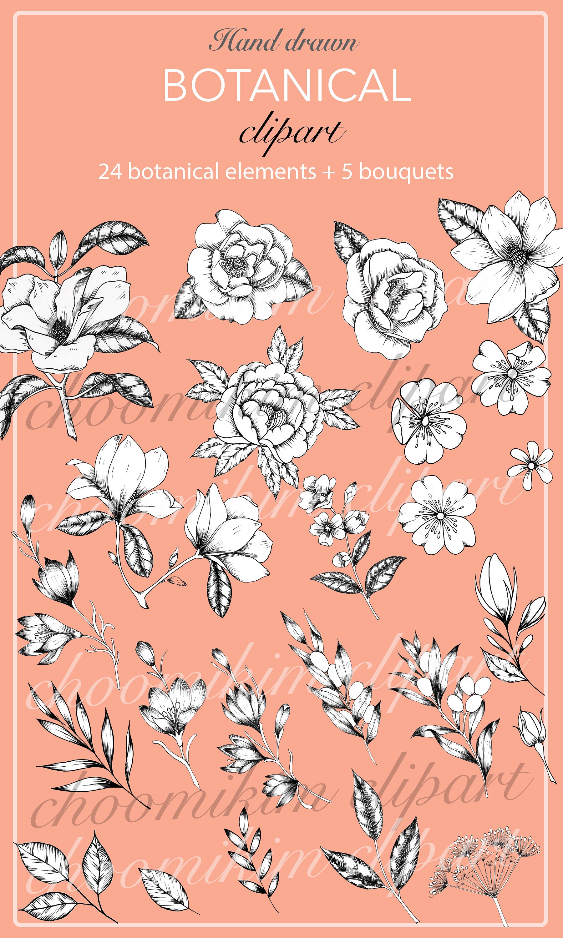 29 Botanical Line Drawing Floral Clip Art,corner Border Commercial ...