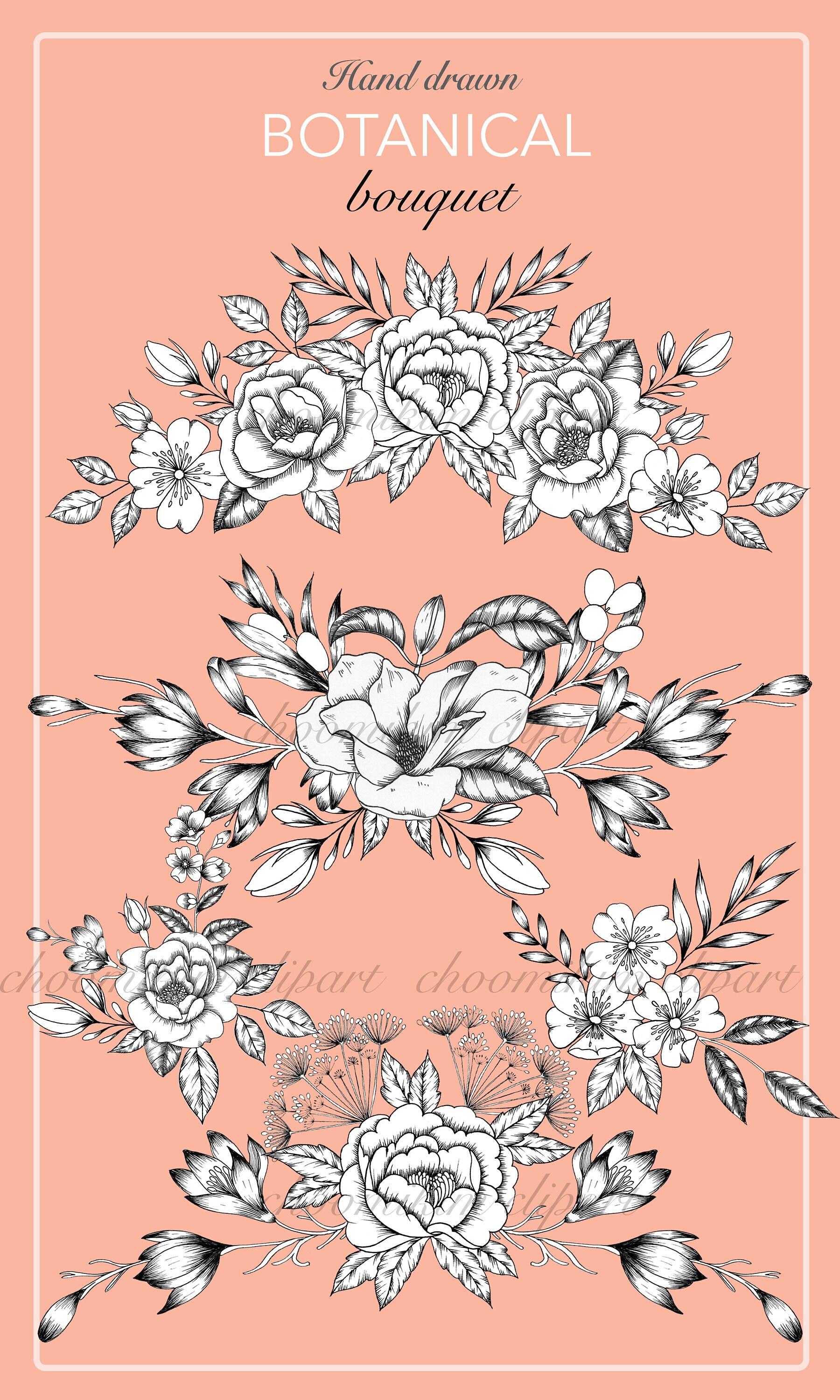 29 Botanical Line Drawing Floral Clip Art,corner Border Commercial ...