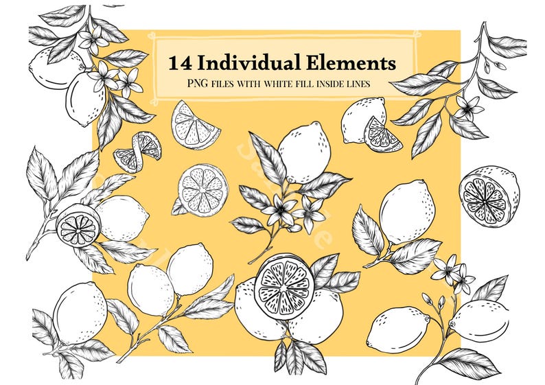 14 Lemon Clipart / PNG / for Commercial Use - Etsy