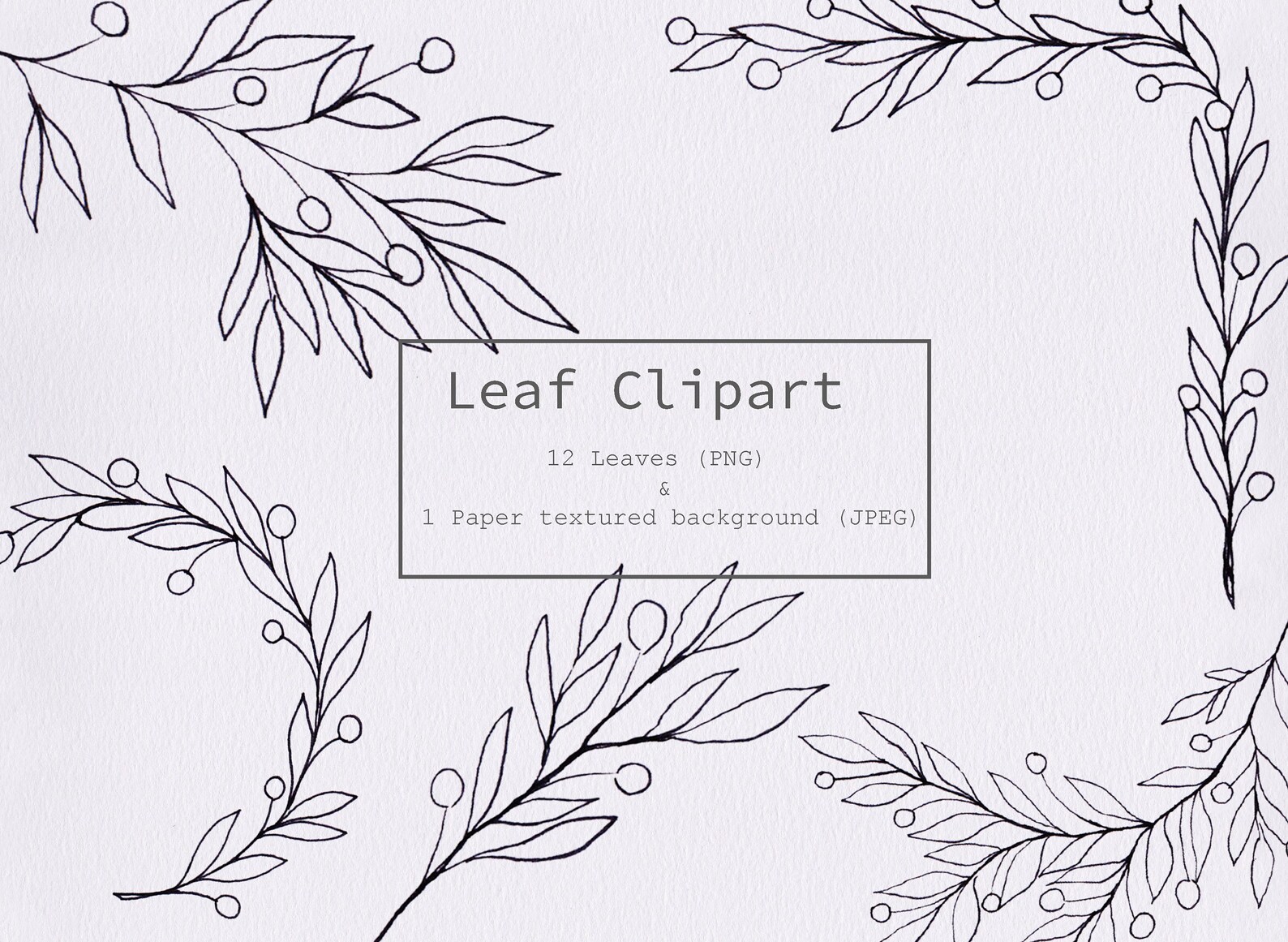 Fine Line Leaves Botanical Line Art on Textured Paper Hand Drawn Floral ...