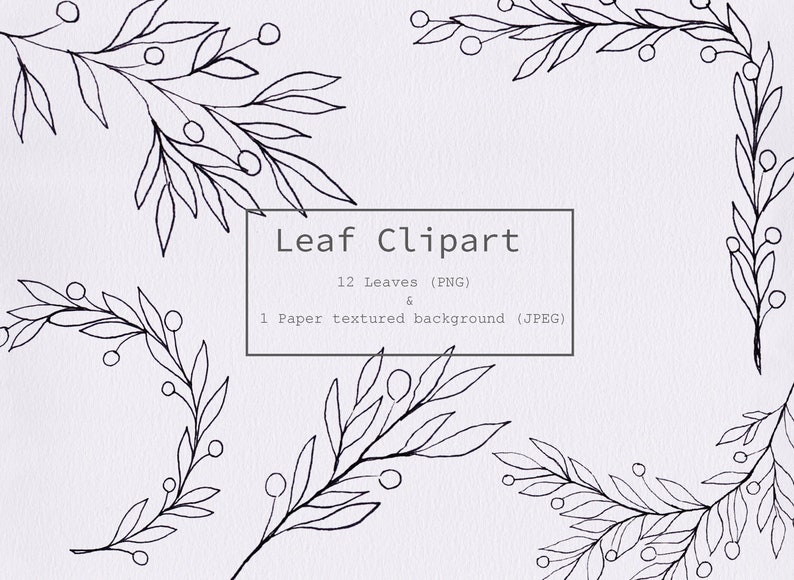 Fine Line Leaves Botanical Line Art on Textured Paper Hand Drawn Floral ...