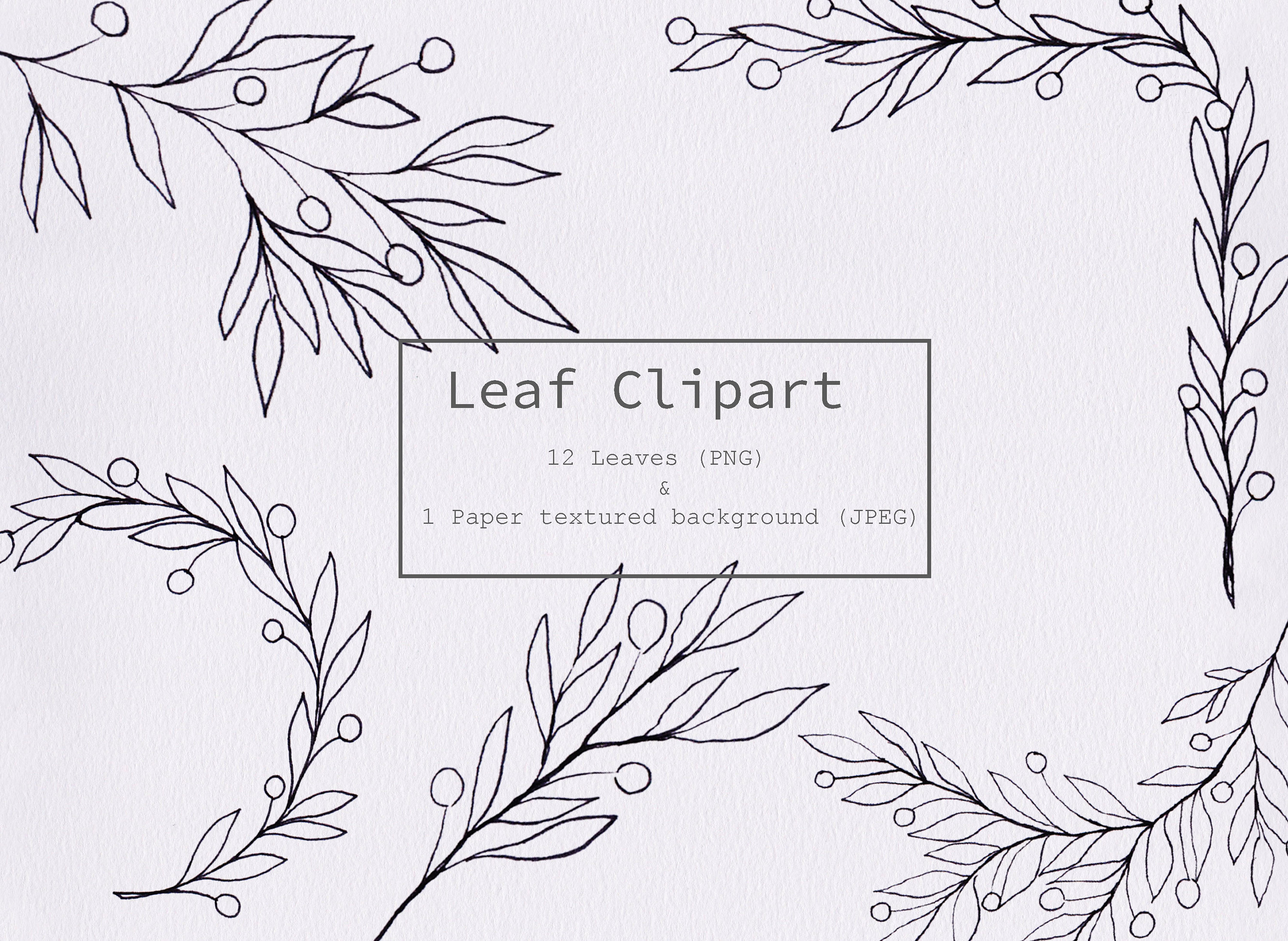 Fine Line Leaves Botanical Line Art on Textured Paper Hand Drawn Floral ...