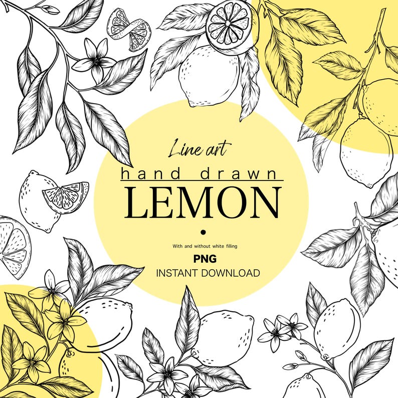 14 Lemon Clipart / PNG / for Commercial Use - Etsy