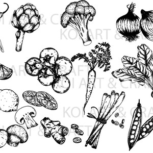 12 Vegetable Clipart for Commercial Use - Etsy