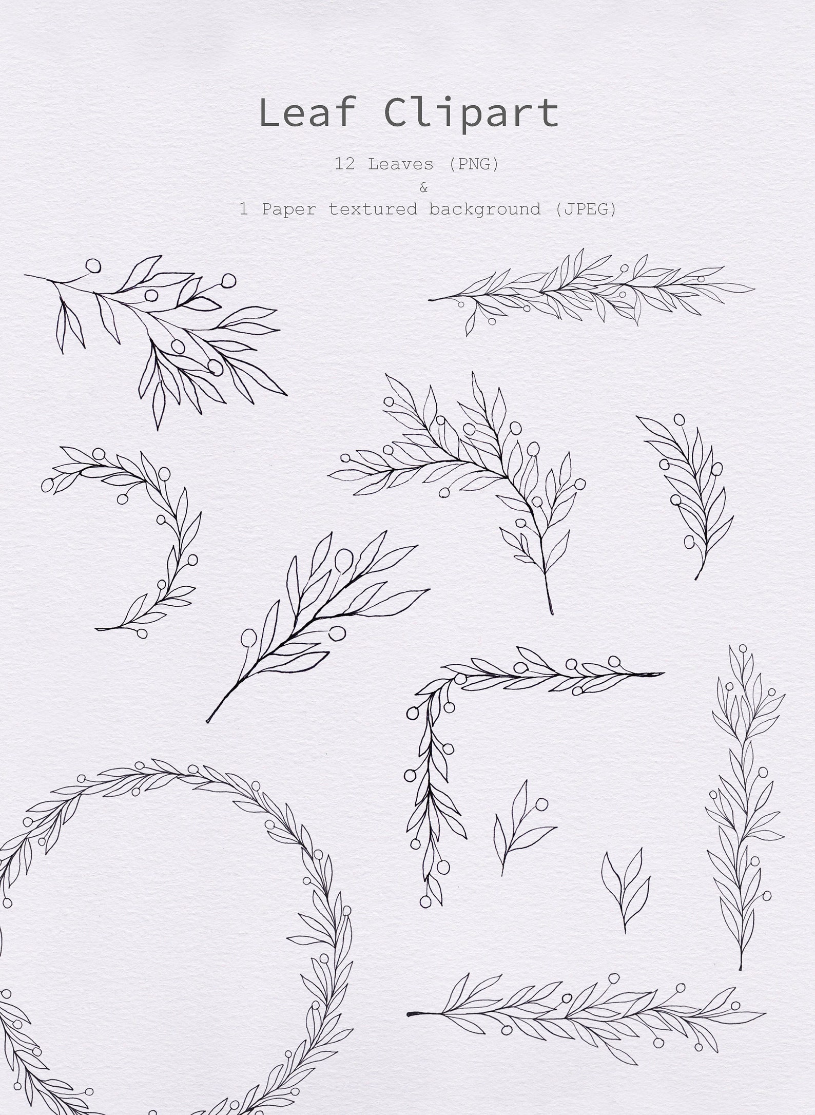 Fine Line Leaves Botanical Line Art on Textured Paper Hand Drawn Floral ...