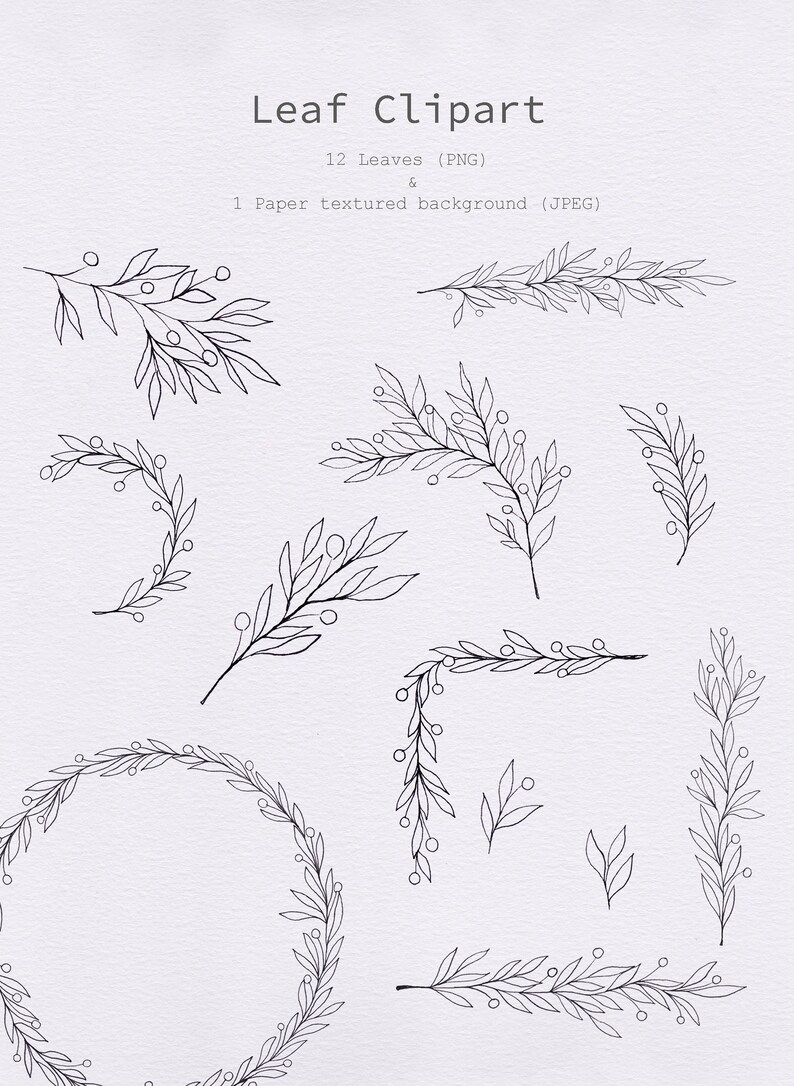 Fine Line Leaves Botanical Line Art on Textured Paper Hand Drawn Floral ...