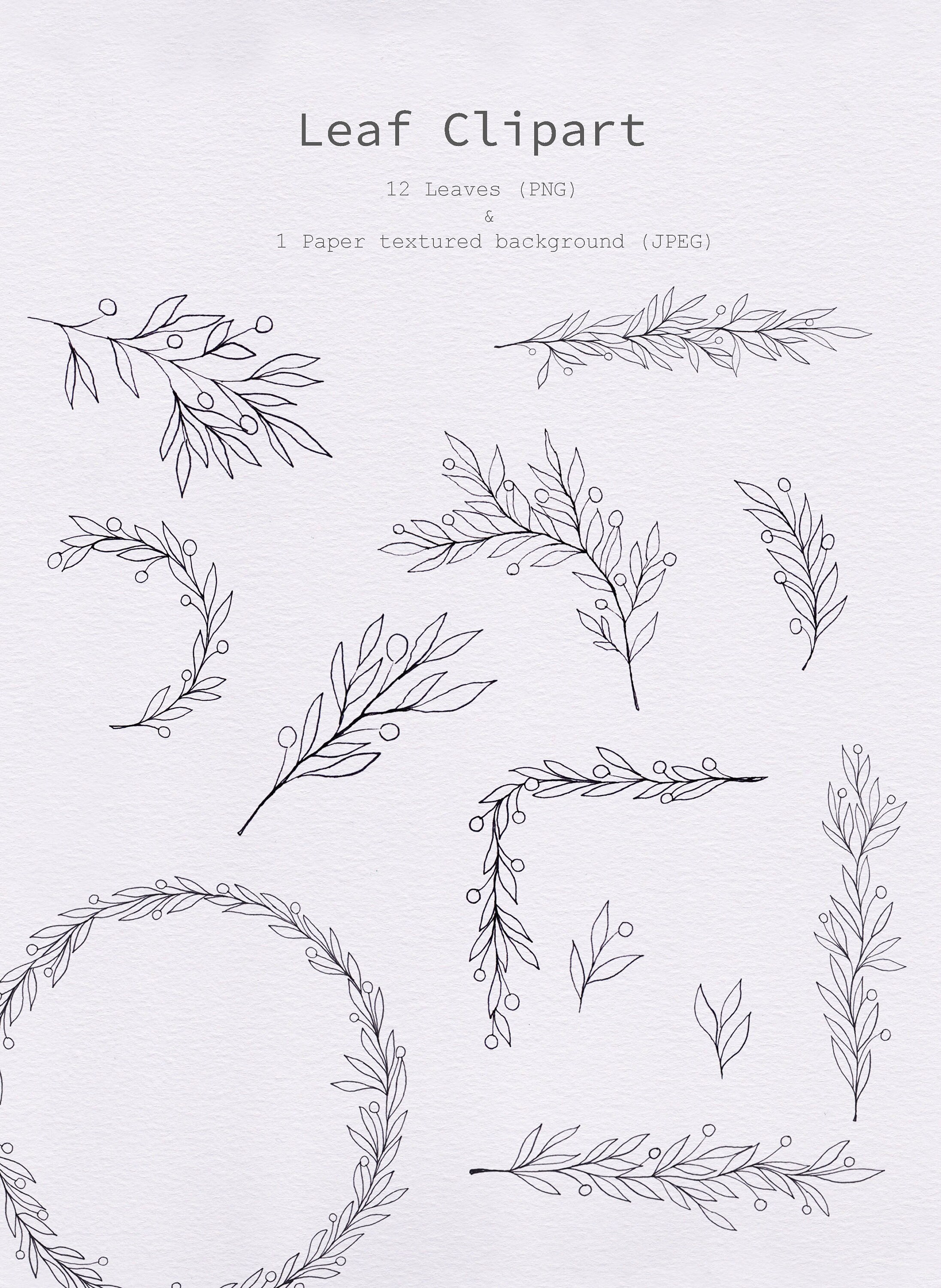 Fine Line Leaves Botanical Line Art on Textured Paper Hand Drawn Floral ...