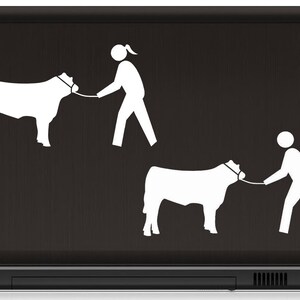 Show Cattle Decals for Car | Cow Showing Decals | Show Steer Stickers ...