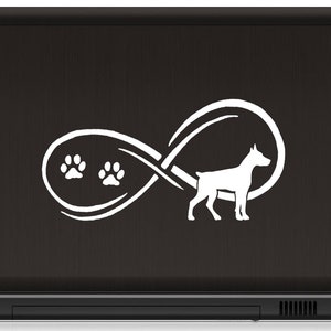 Doberman Pinscher Infinity Dog Decal Min Pin Sticker for Car Truck SUV ...