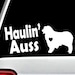 Australian Shepherd Haulin Auss Dog Decal Sticker A1198 - Etsy