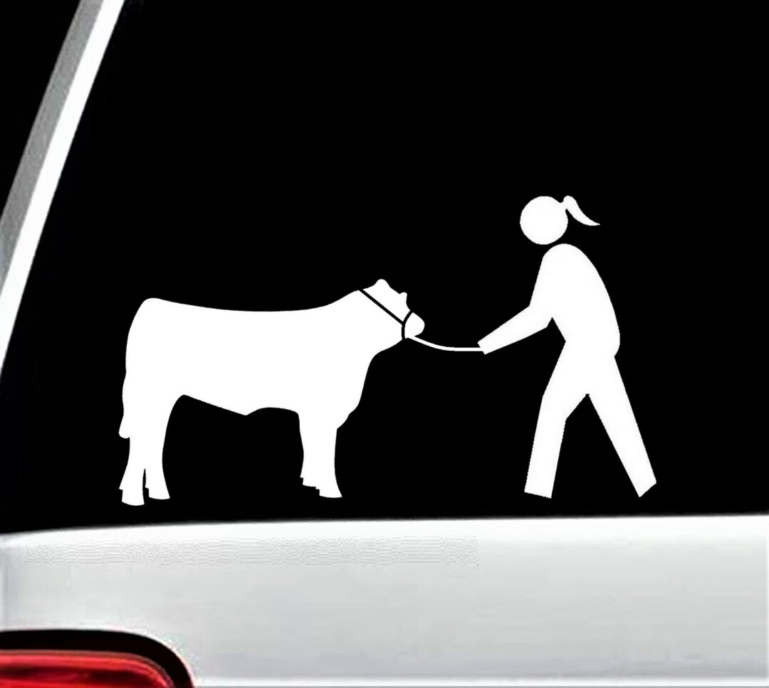 Show Cattle Decals for Car | Cow Showing Decals | Show Steer Stickers ...