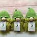 Emotional Support Pickle Gnome - Etsy