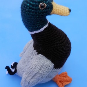 Mallard Drake Crochet DIGITAL PATTERN English Language With USA Terms ...