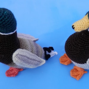 Mallard Drake Crochet DIGITAL PATTERN English Language With USA Terms ...