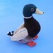 Mallard Drake Crochet DIGITAL PATTERN English Language With USA Terms ...