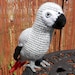 African Grey Parrot Crochet PATTERN Uk Terms - Etsy