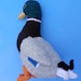 Mallard Drake Crochet DIGITAL PATTERN English Language With USA Terms ...
