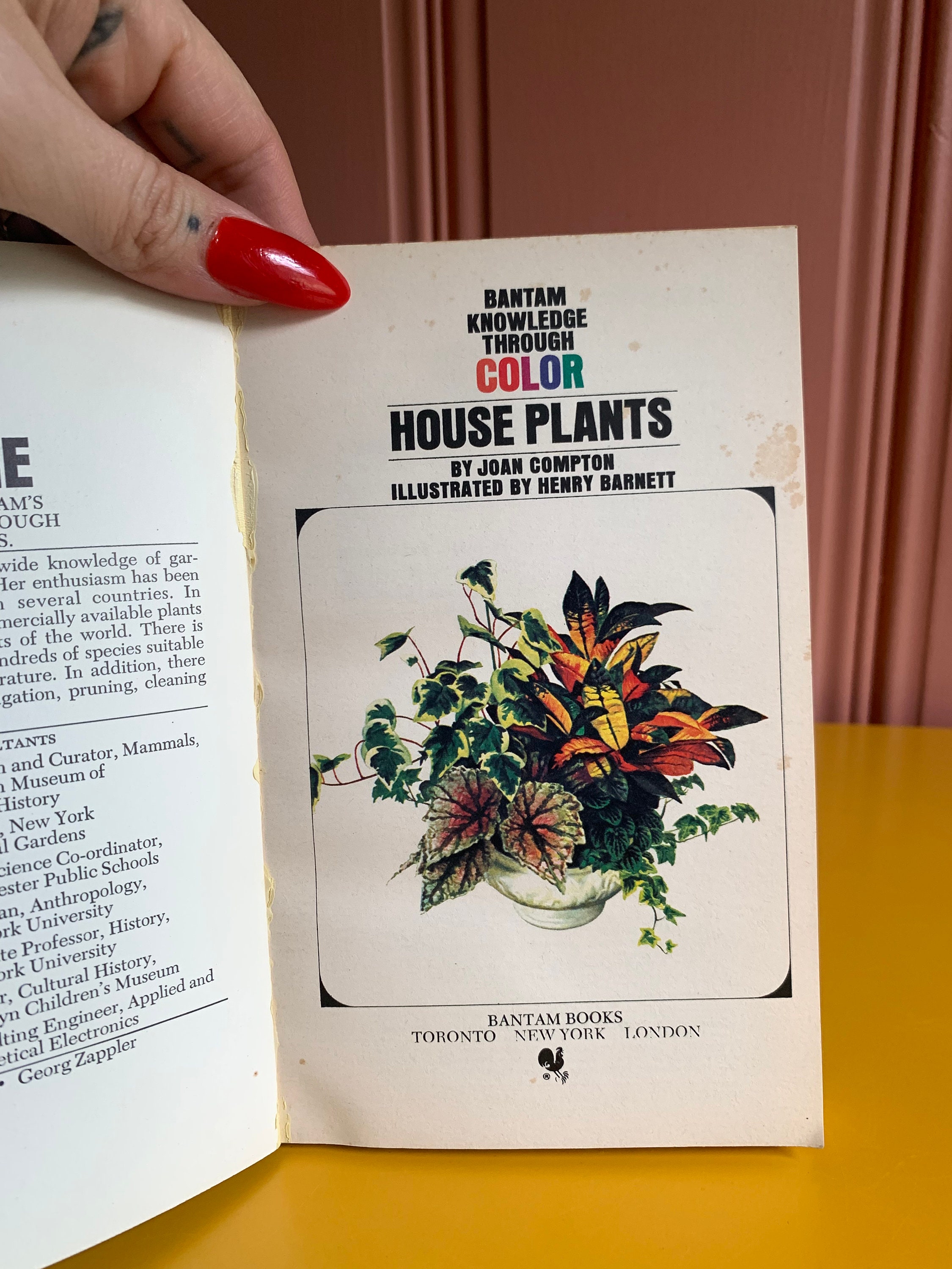 Vintage House Plants Knowledge Through Color Book