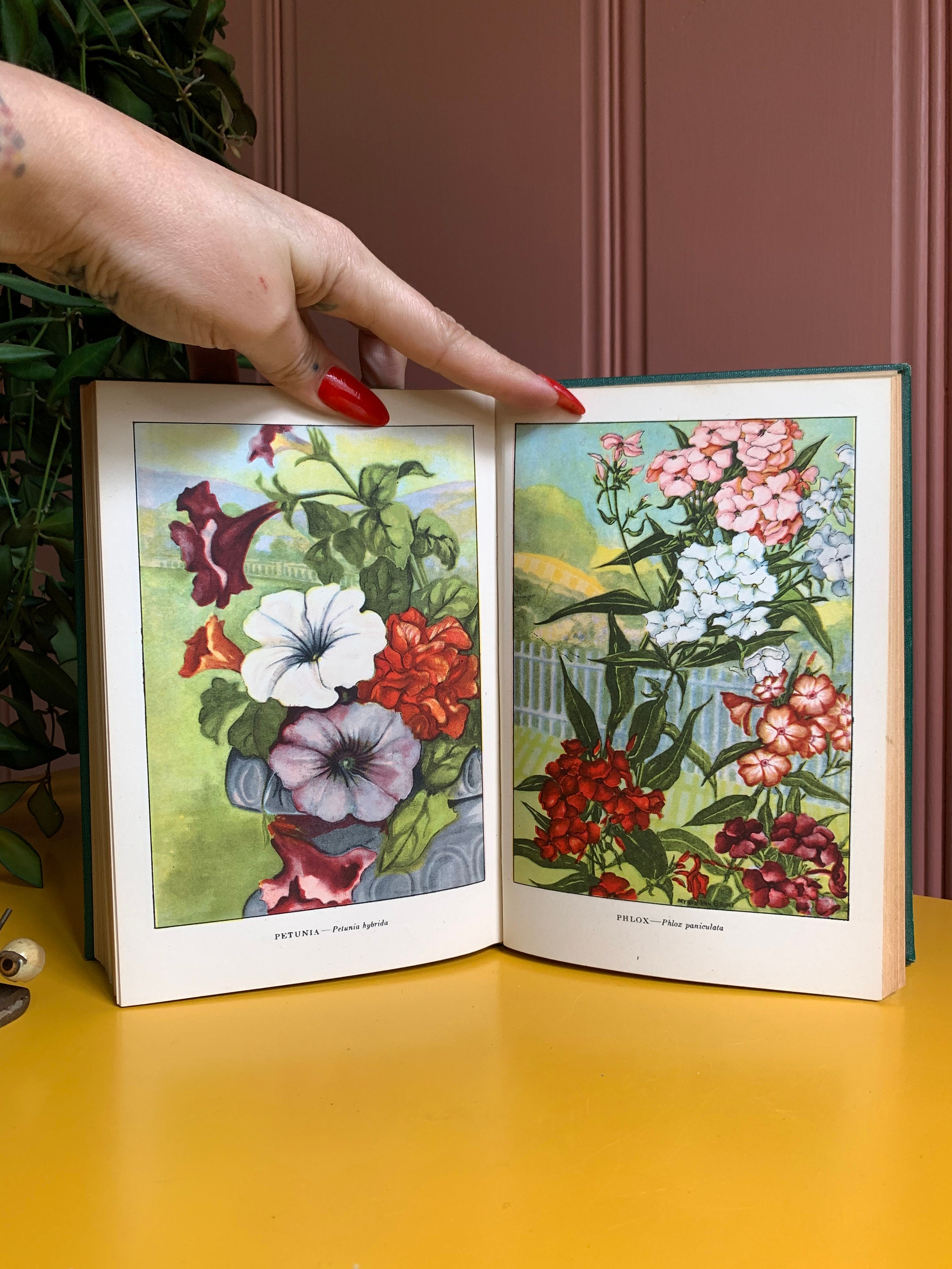 1920’s Nature Library: Garden Flowers Book Illustrated In Color