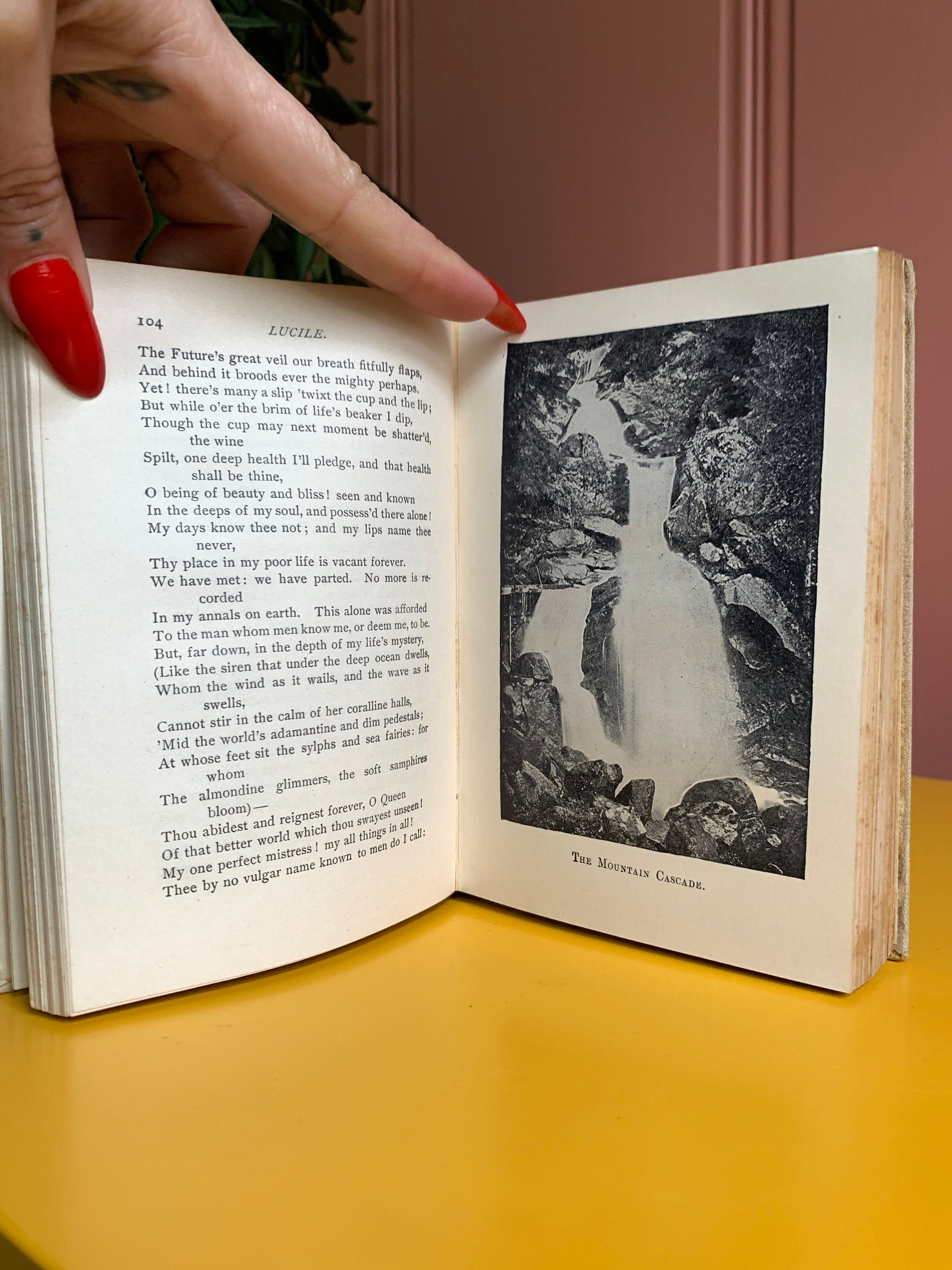 Antique “Lucile” Story Book With Floral Cover, Owen Meridith