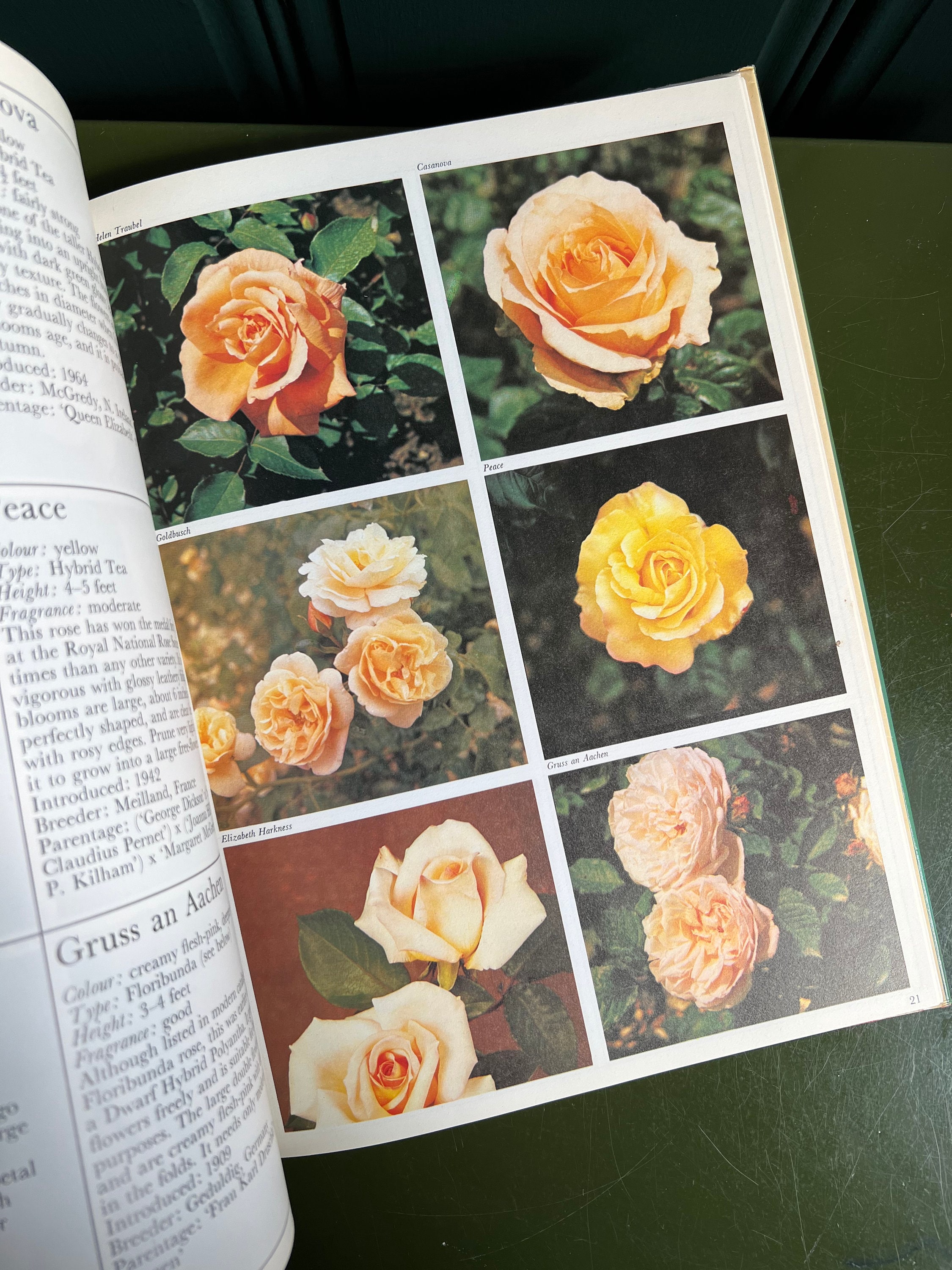 Vintage Rose Book