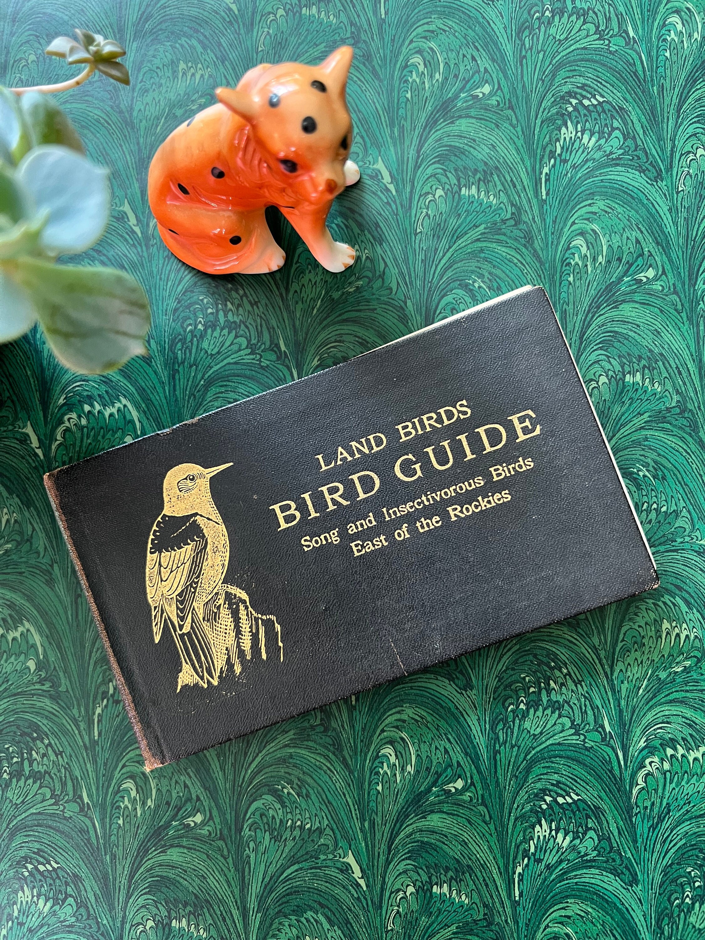 Antique Land Bird Guide Book: Song and Insectivorous Birds East Of The ...