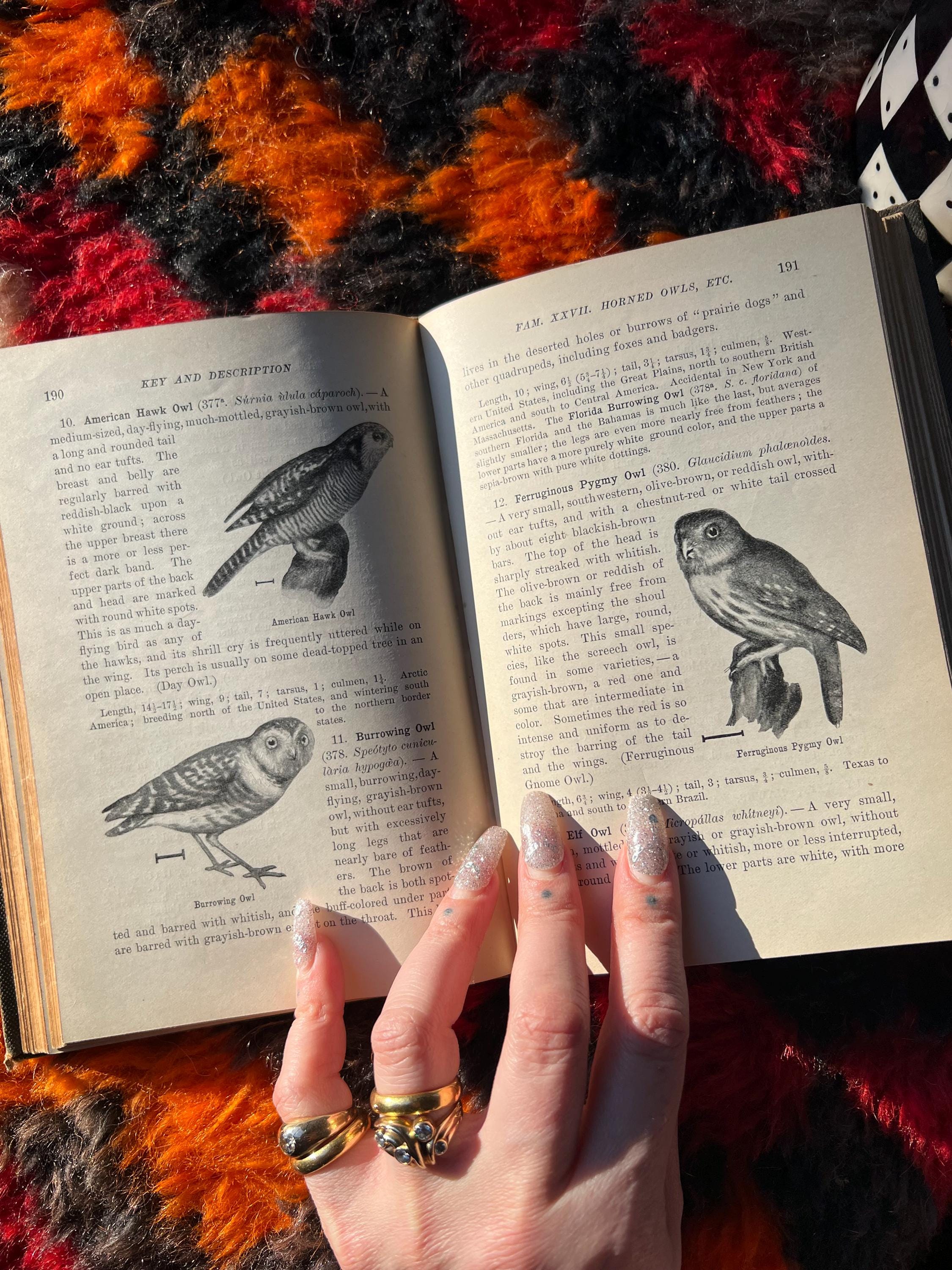 Antique Apgar's Birds Of The Unites States Book