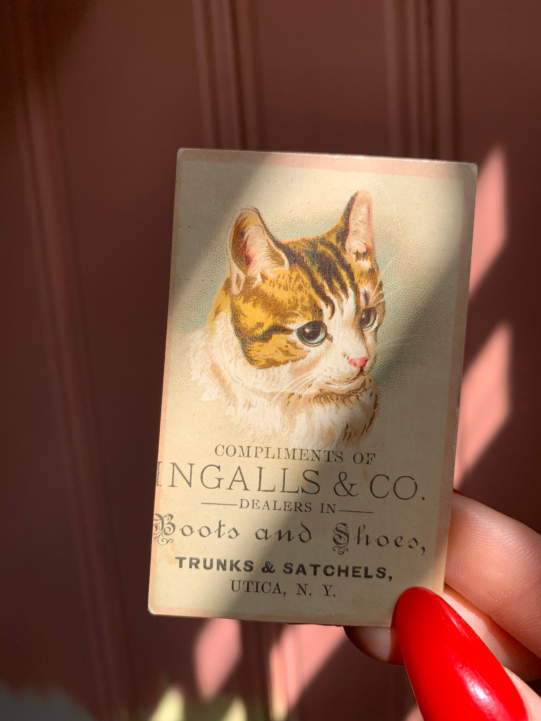 Antique Advertisement Calling Card With Cat Head