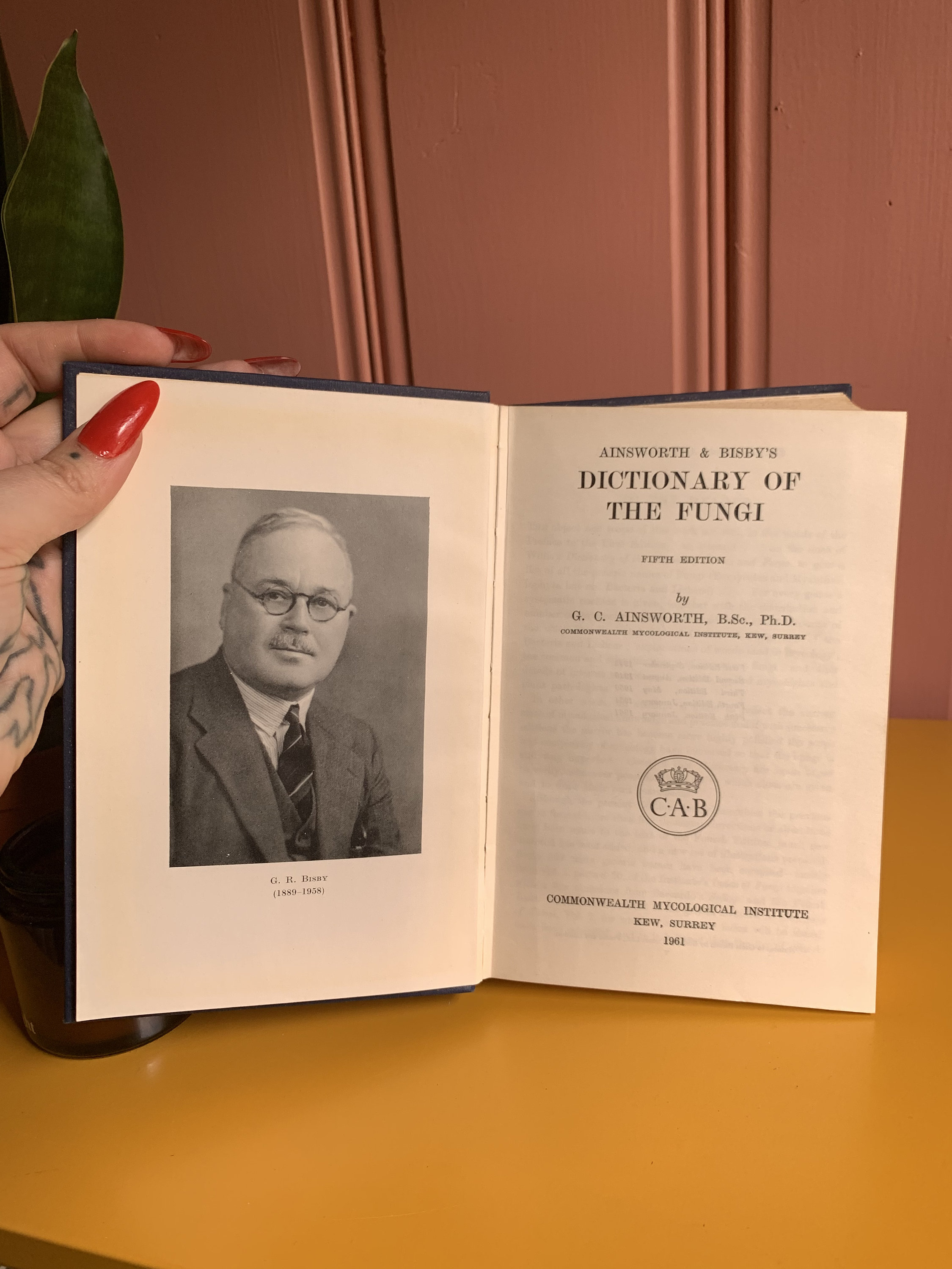 1960’s Dictionary of The Fungi Mushroom Book by Ainsworth