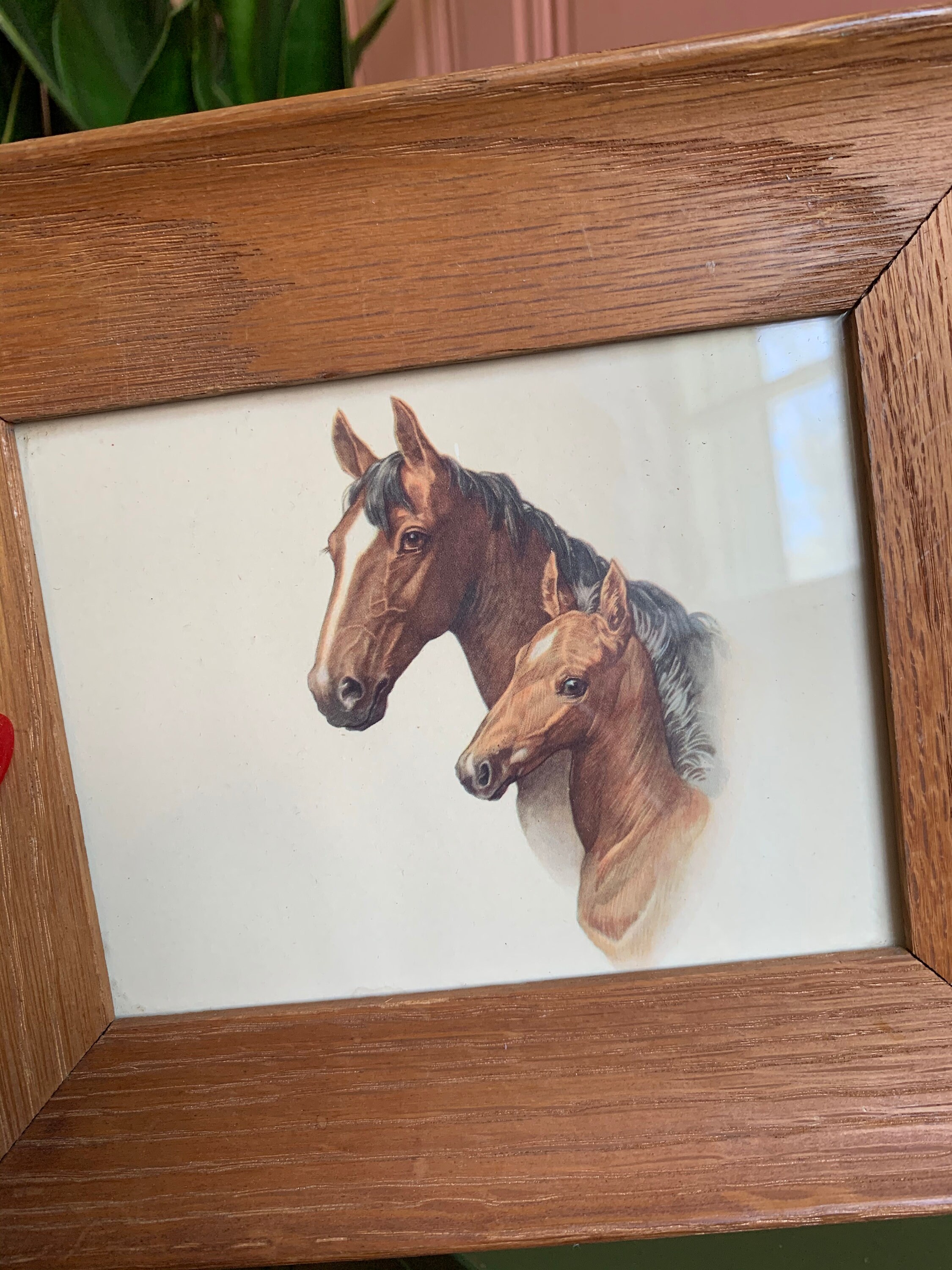 Pair Of Vintage Horse Portrait Lithographs In Original Frames
