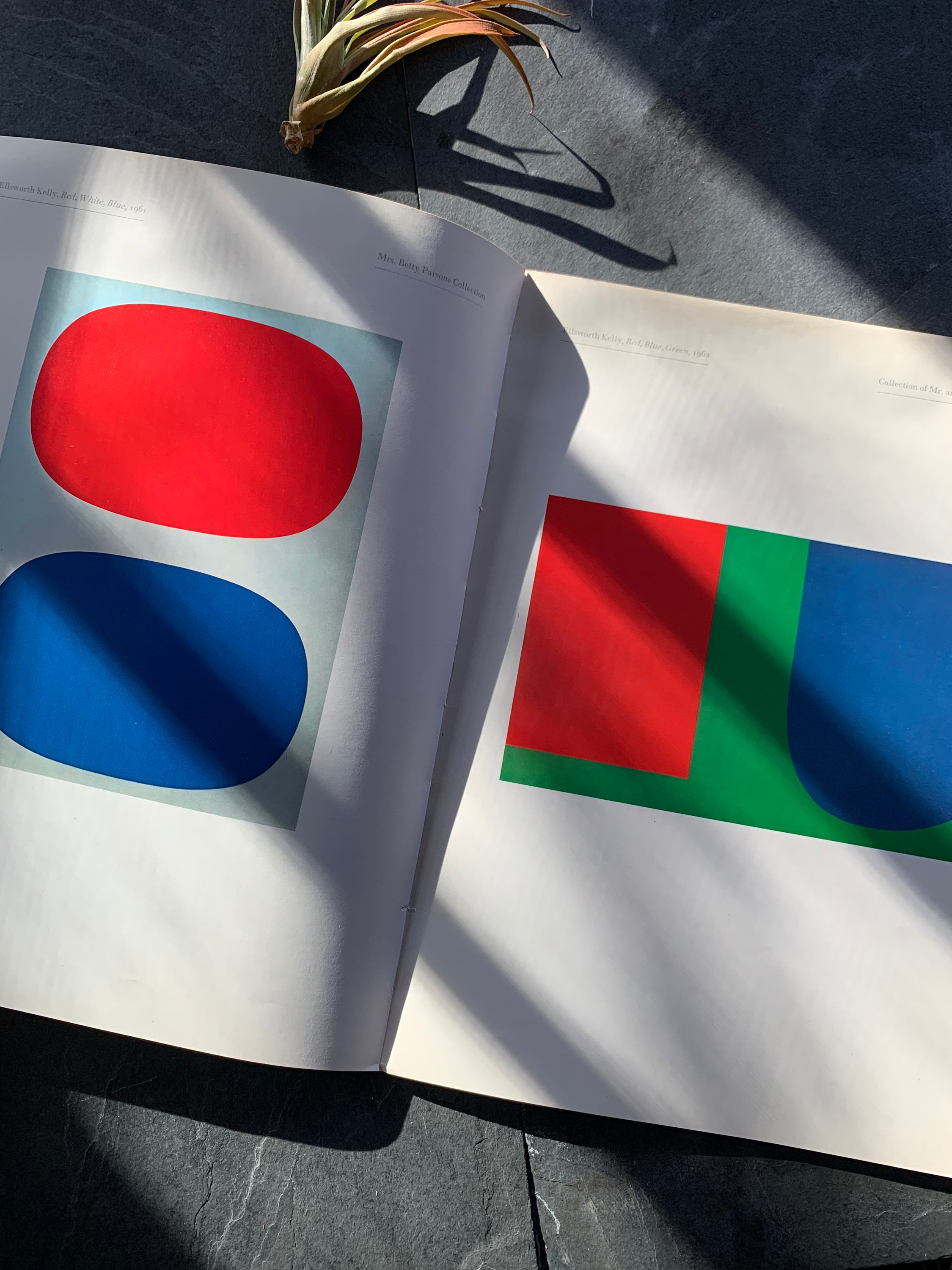 1960's Color Art Book Featuring Ron Davis, Ellsworth Kelly, Morris ...