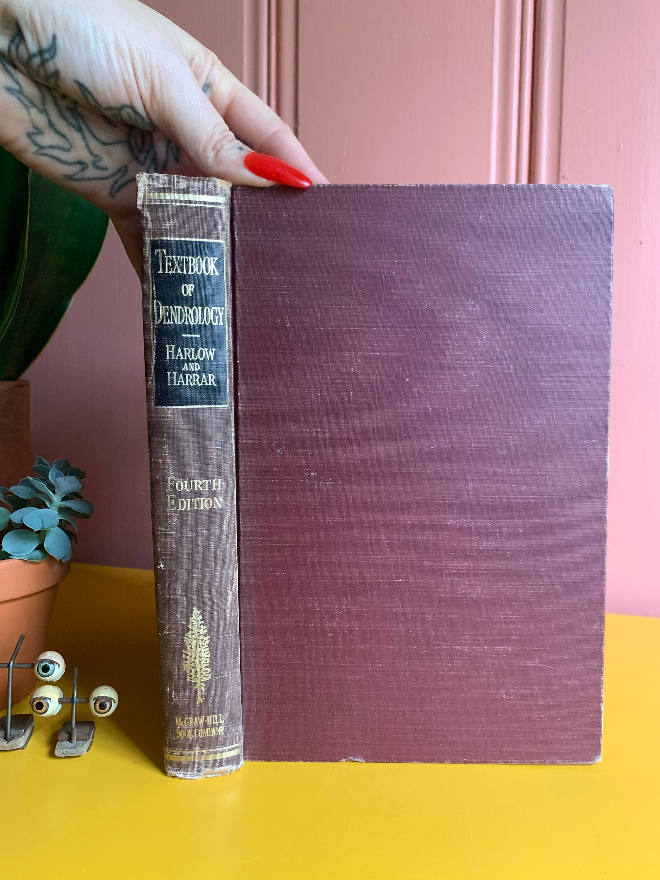 1950’s Forest Trees Textbook Of Dendrology