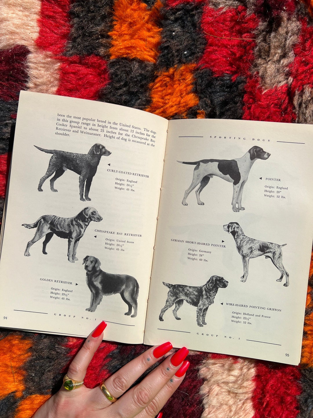 1950s First Edition dog Owners Guide Book by Kasco Mills Inc. - Etsy