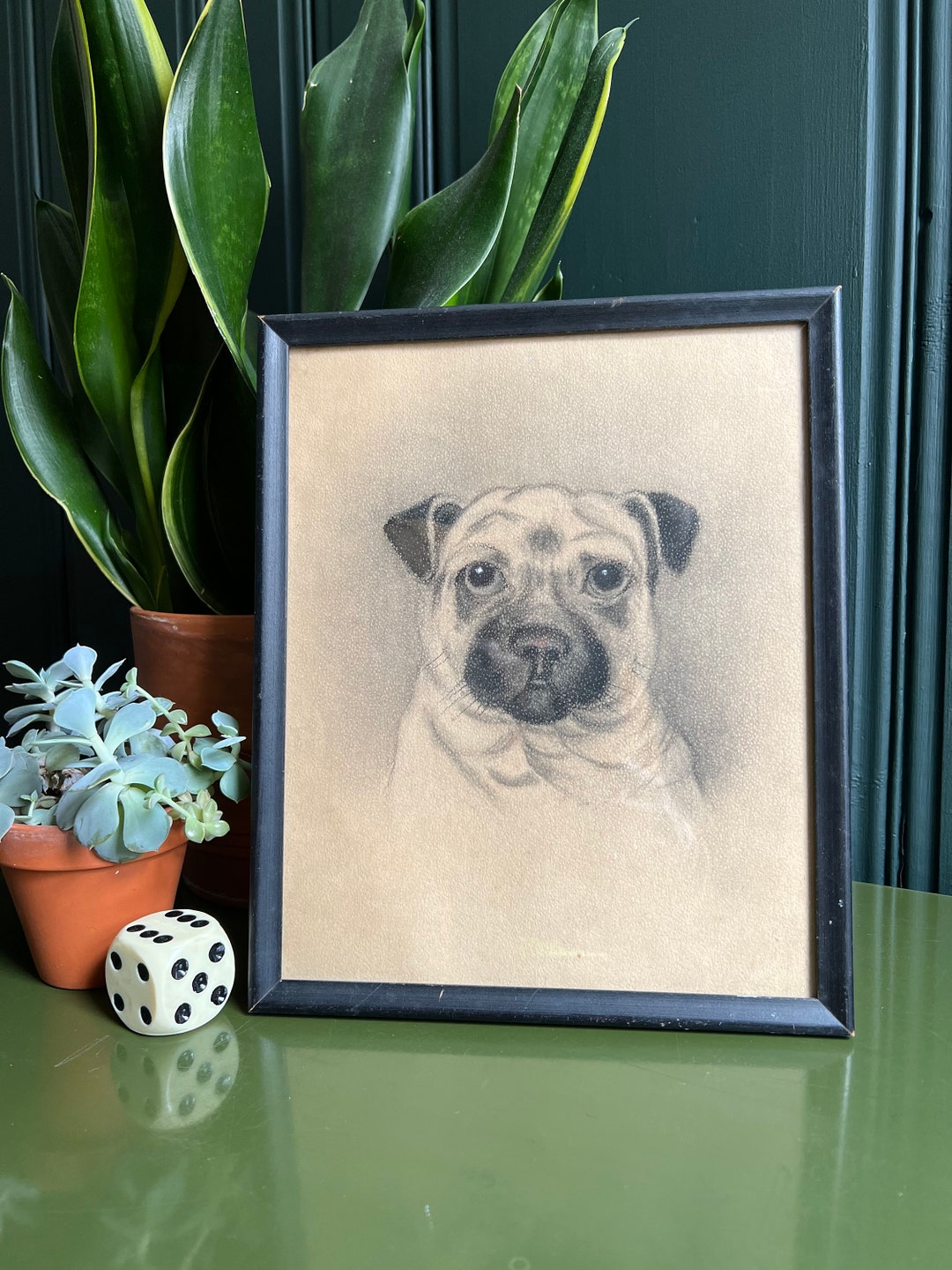 Antique Pug Portrait in Original Frame - Etsy