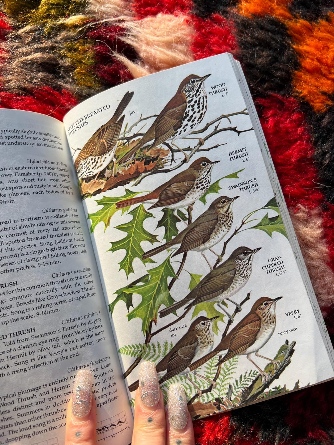 Golden Guide to Field Identification Birds of North America Illustrated ...