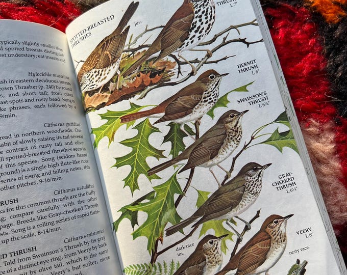 Golden Guide to Field Identification Birds of North America Illustrated ...