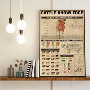 Cattle Knowledge, Breeds of Cattle Poster, Vintage Cattle Wall Art ...